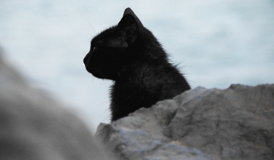 Omens of Death Around the World - TalkDeath