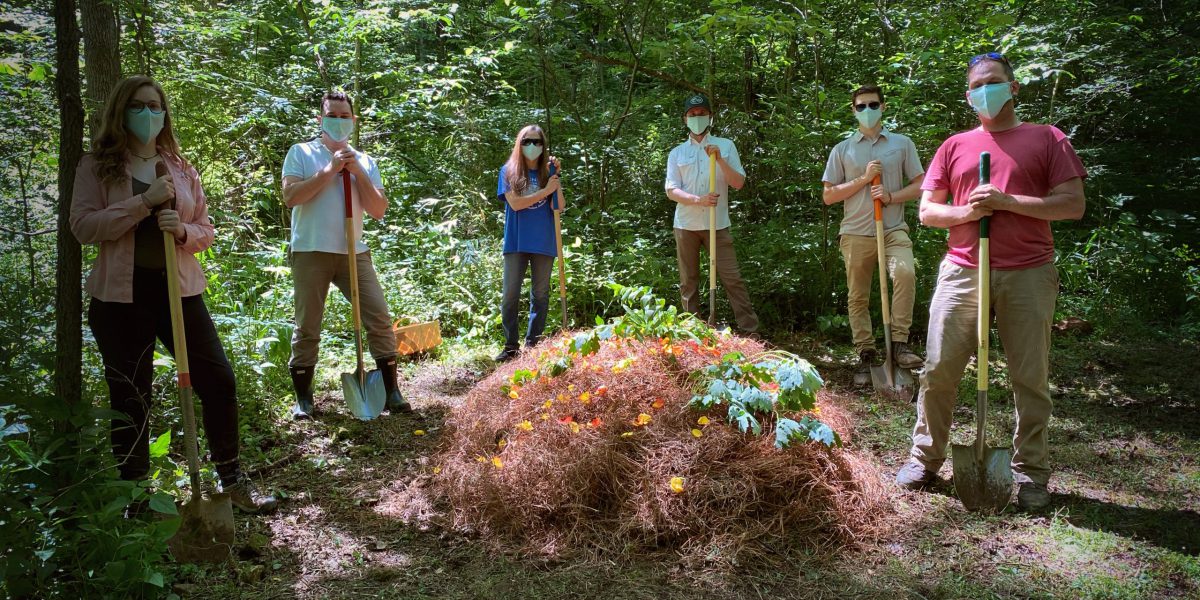 Cemetery and Graveyard Trees: Folklore, Superstition and History ...