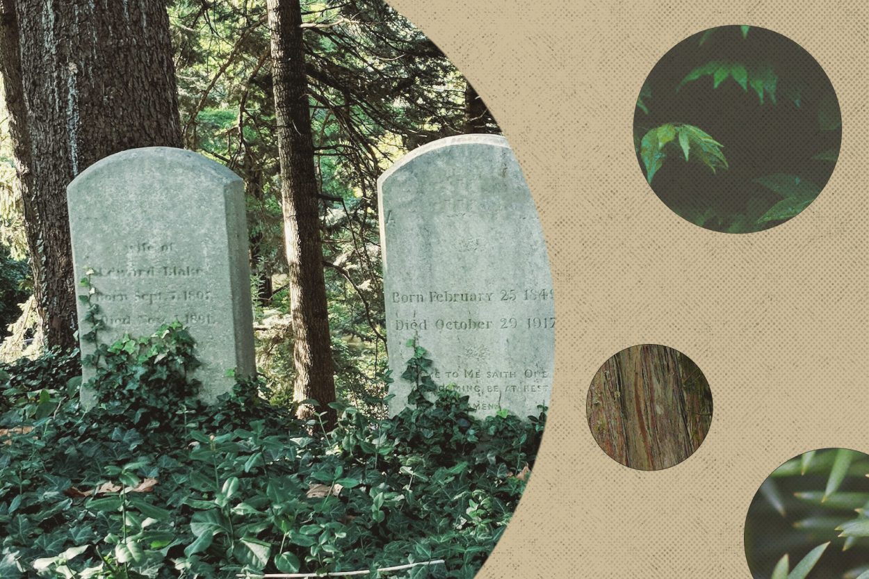 Cemetery and Graveyard Trees: Folklore, Superstition and History ...