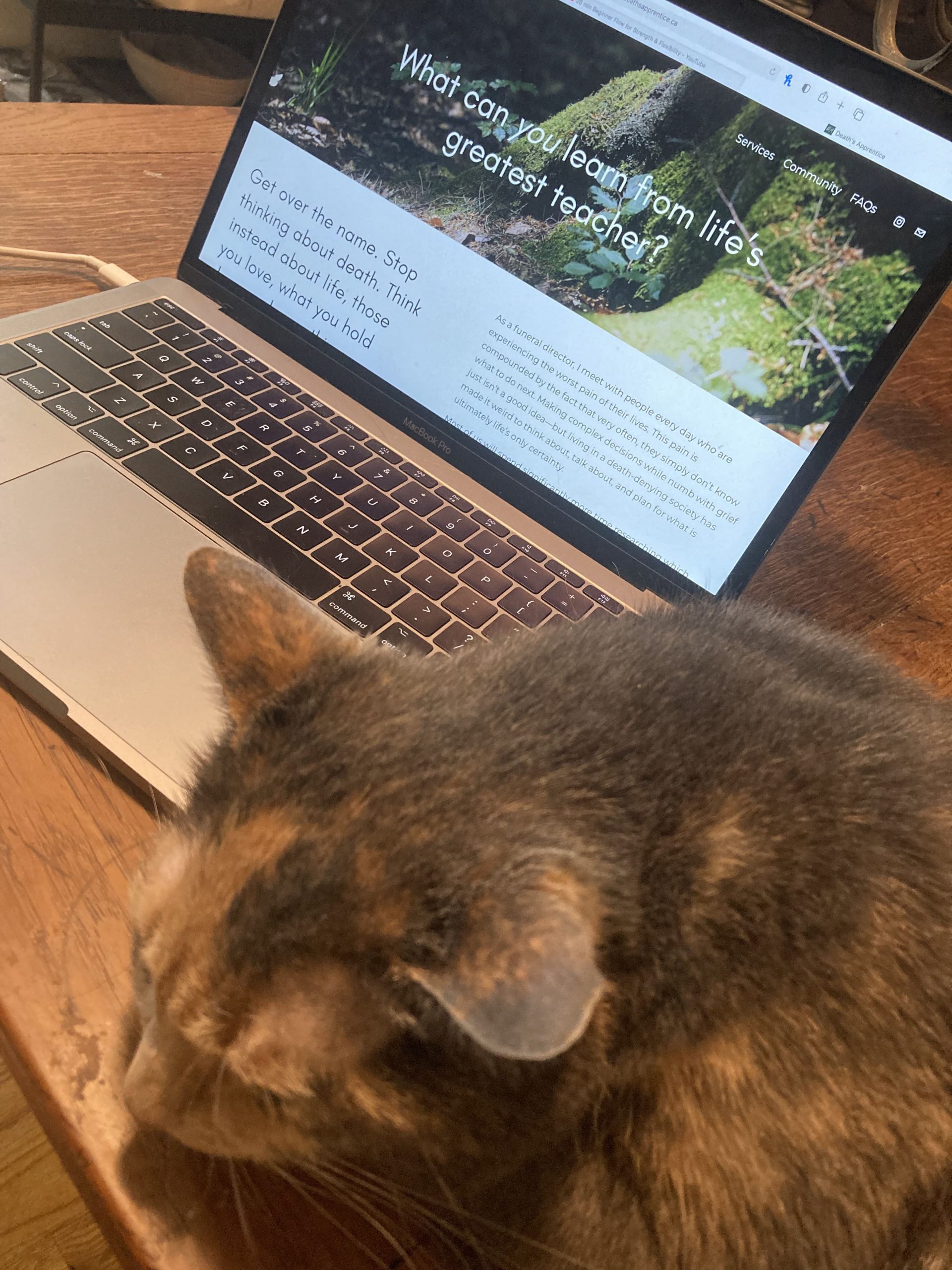 Careers in Death Care: A Day in the Life of a Death Educator - TalkDeath