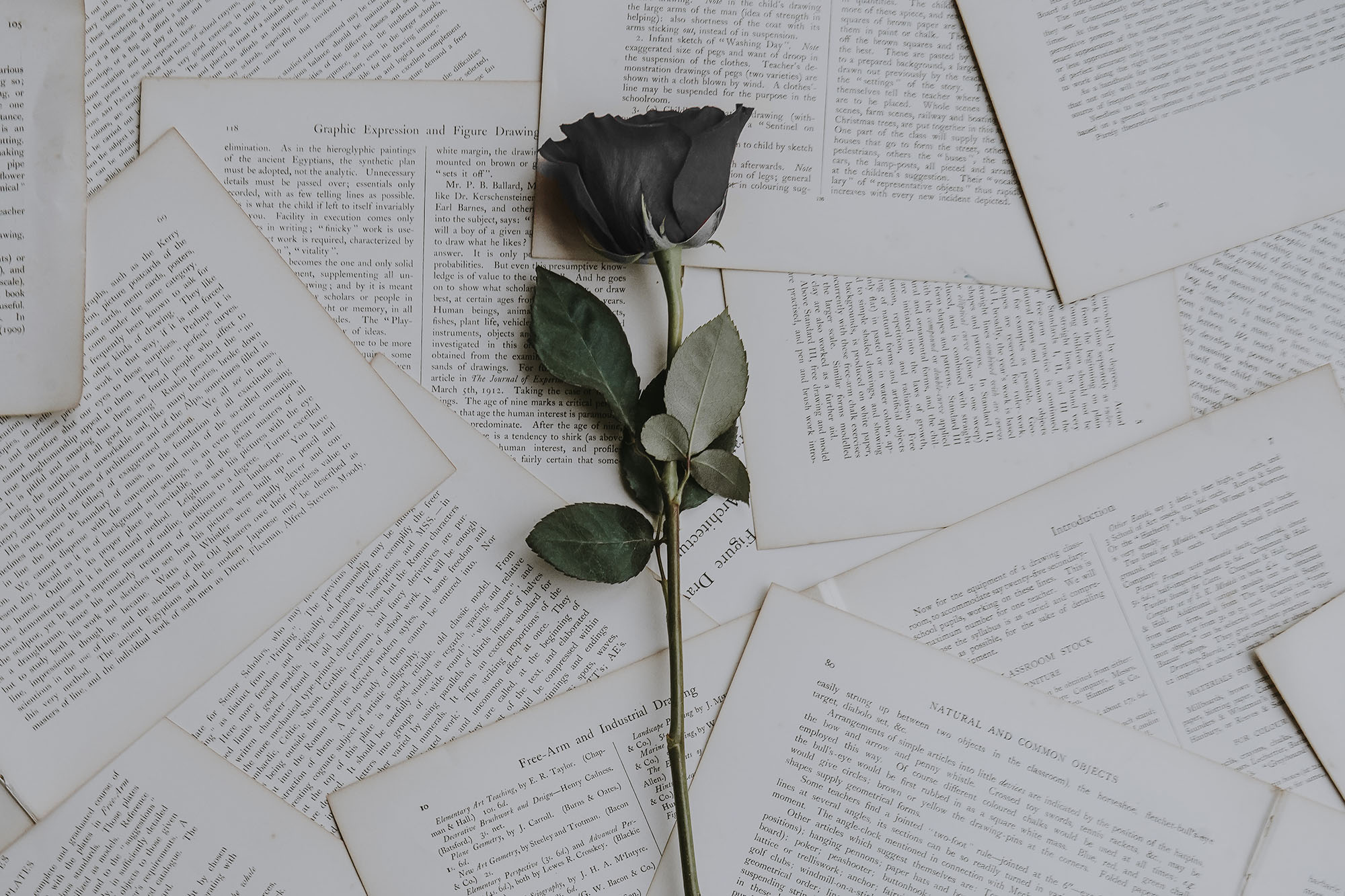 Beautiful Poems For Funerals And Celebrations Of Life Talkdeath