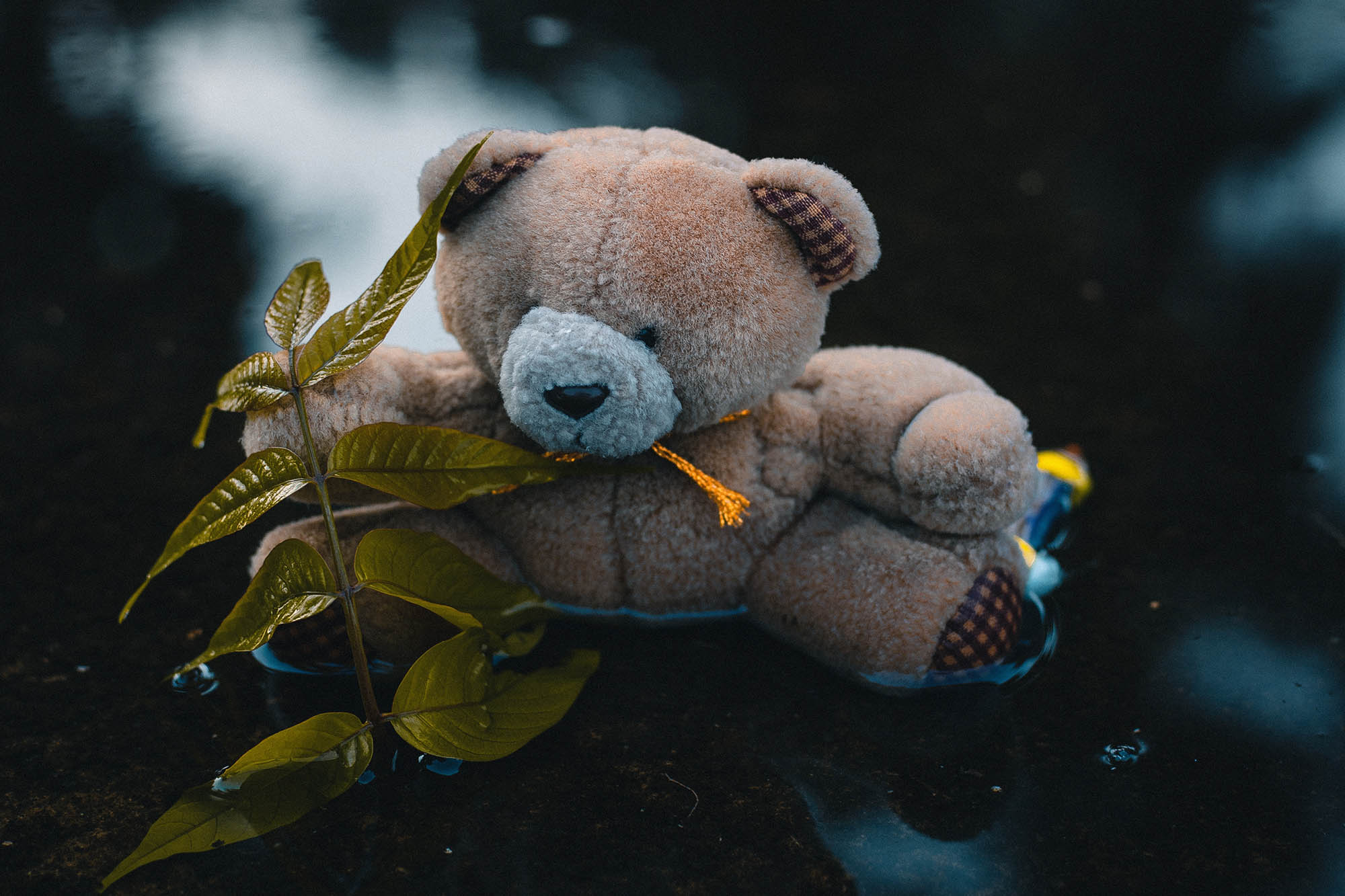 What Matters For Himsympathy Poem Remembrance Poem Memory Poem