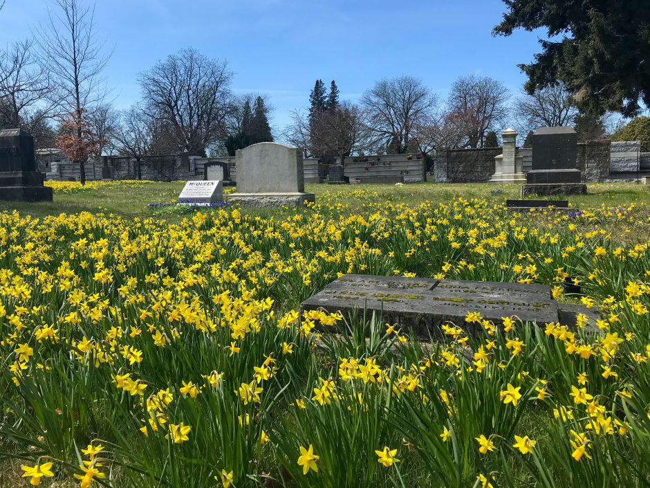 Careers in Death Care: A Day in the Life of a Cemetery Planner - TalkDeath